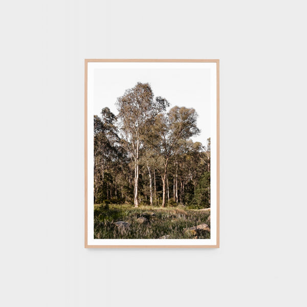 Australian Bush Framed Print (Warranbrooke) – Frankie Say Relax